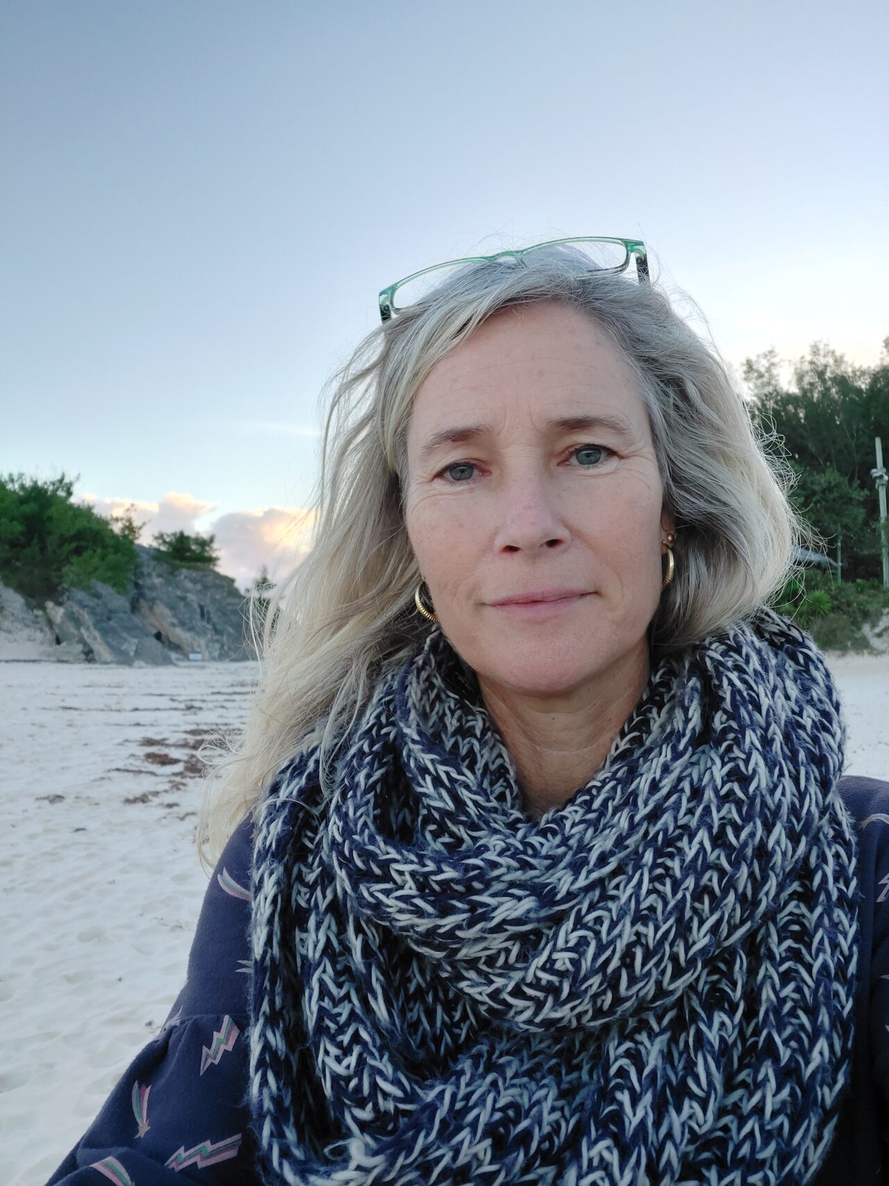A Personal Ecology | Louisa Bermingham | Masterworks Bermuda